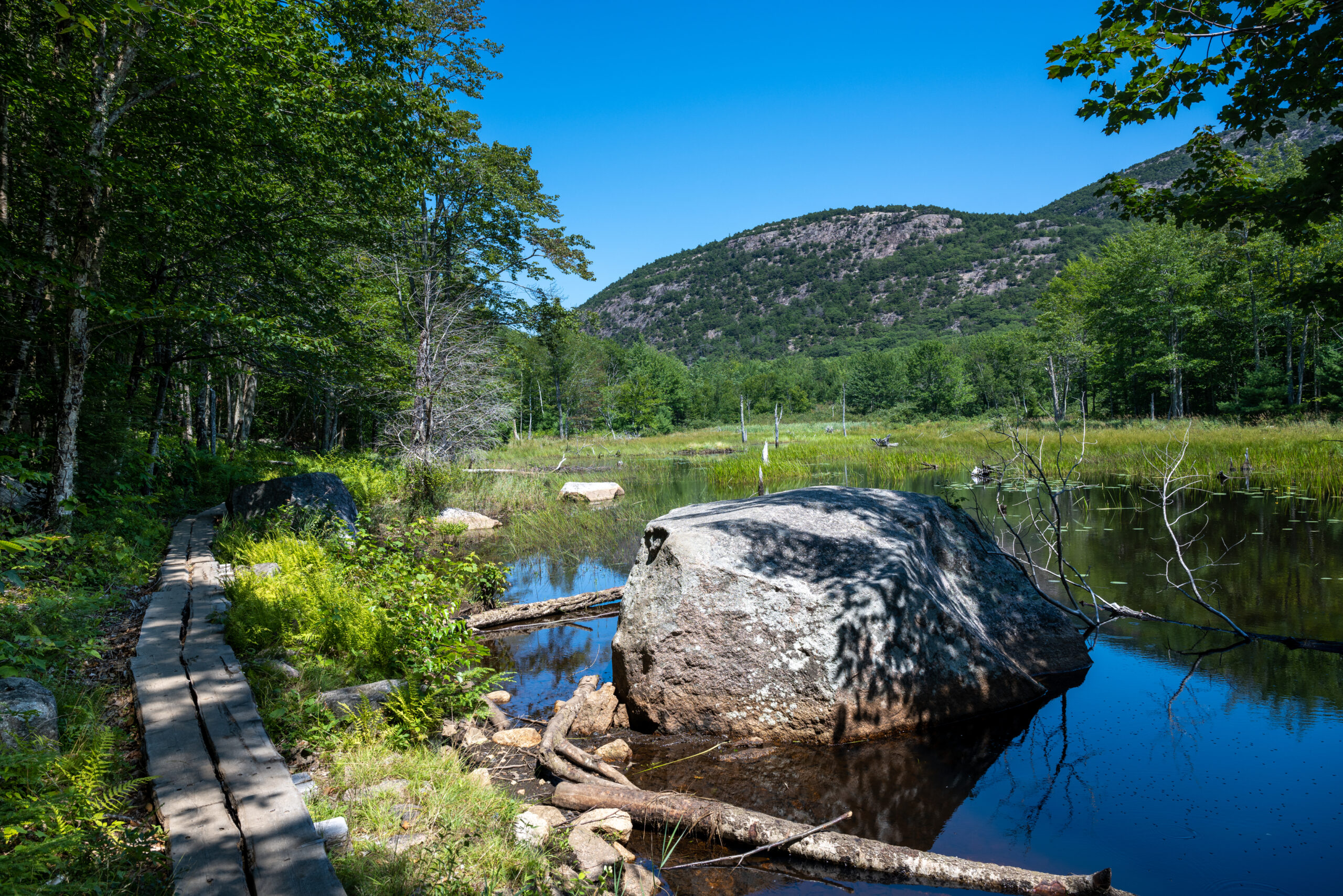 hike: canon brook trail | Liz Atterbury